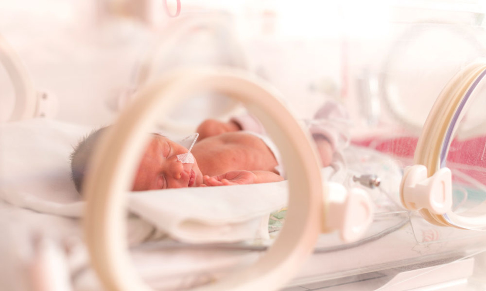 De ontwikkeling van een couveuse baby - Ouders van Nu
